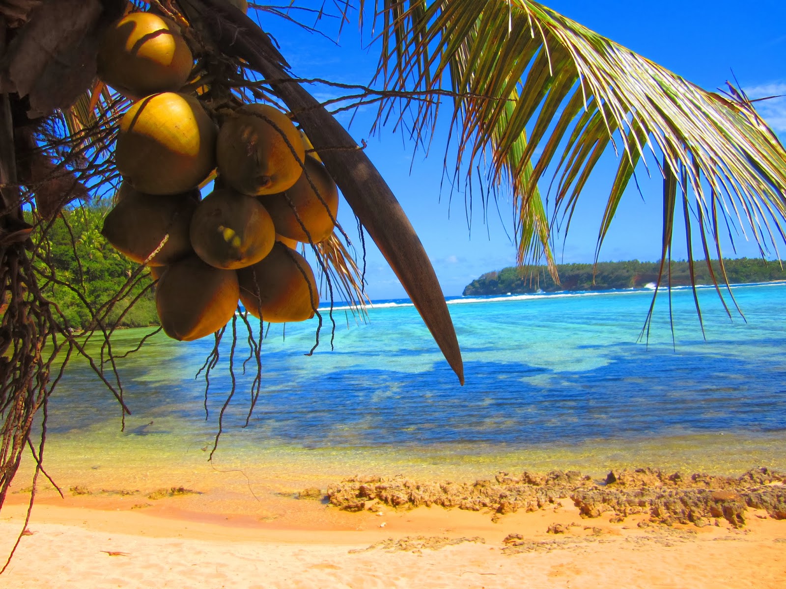 Gone with the backpack: TONGA. The last kingdom in South Pacific