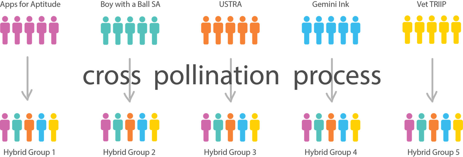 Cross Pollination Of Ideas