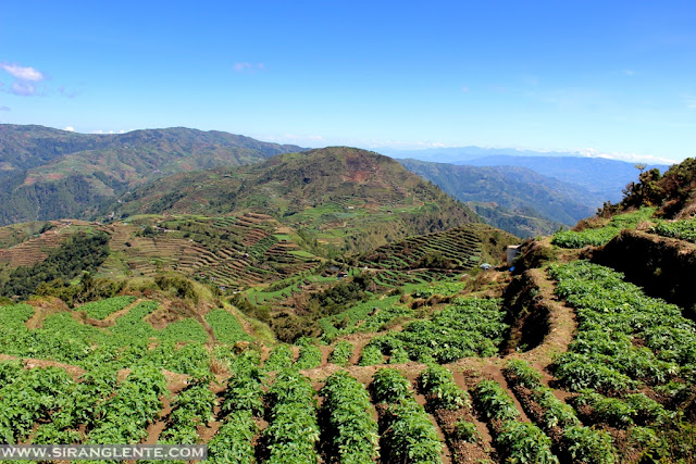 SIRANG LENTE | TRAVEL & HIKE: Mt. Timbak, Benguet (Hiking Guide ...