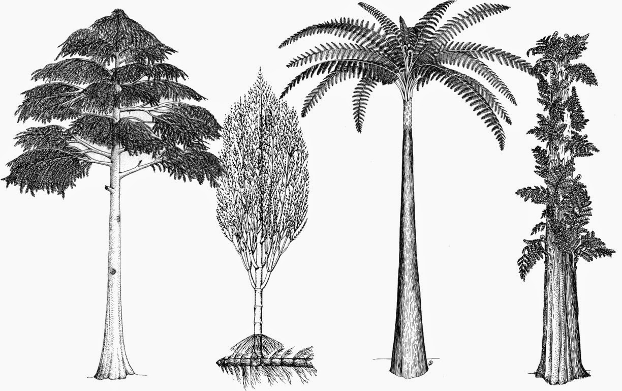 The Pondering Gulch: Et Tunc Nulla Erat III