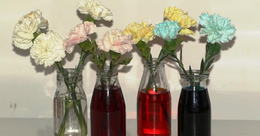 Every Bed of Roses: Science in Your Homeschool