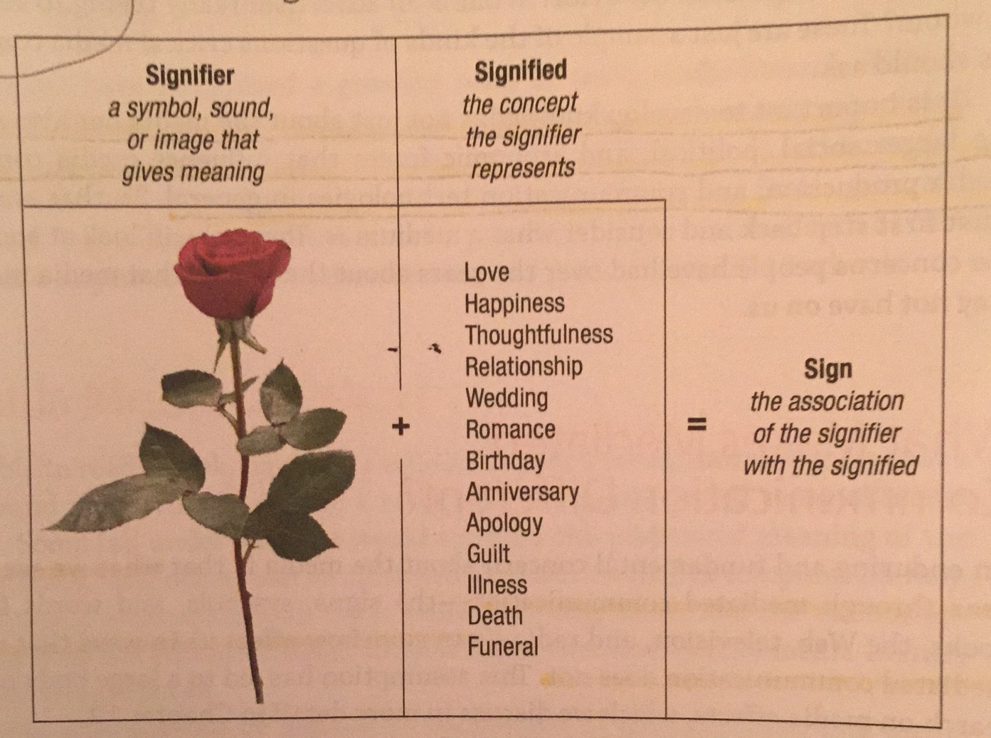 Signified Signifier Tree