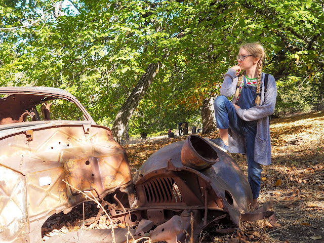 Little Hiccups: Chestnut Picking at Skyline Chestnuts