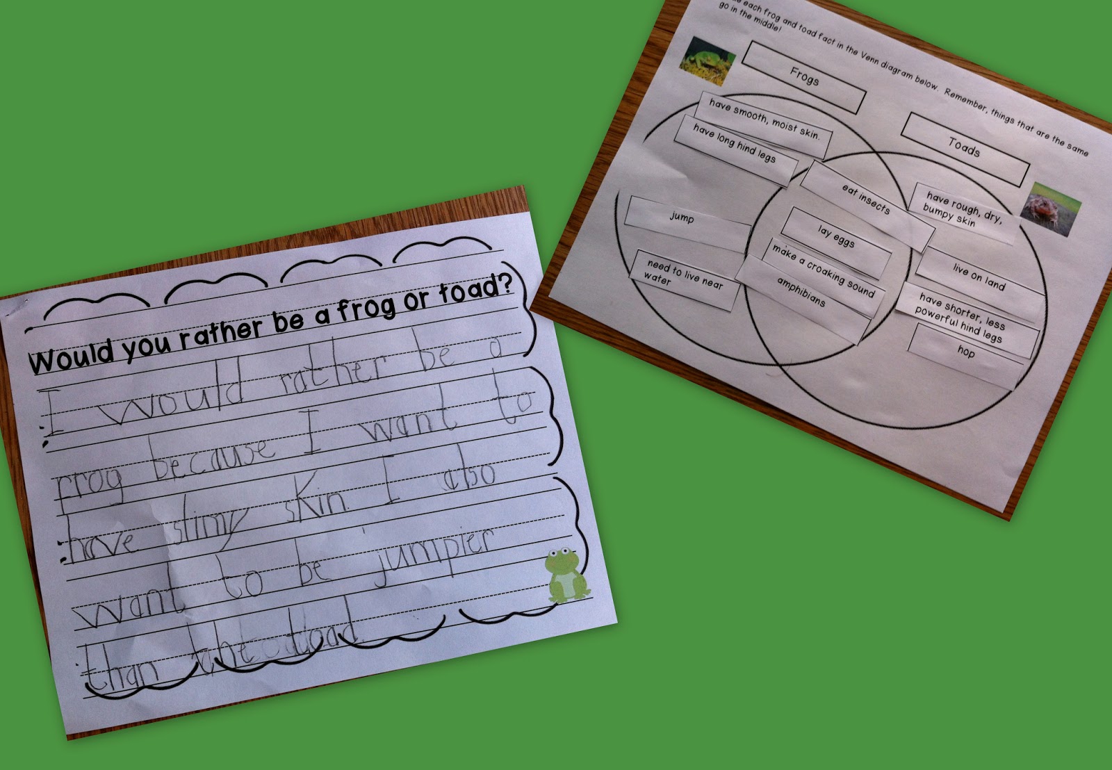 Frog And Toad Venn Diagram - Wiring Site Resource