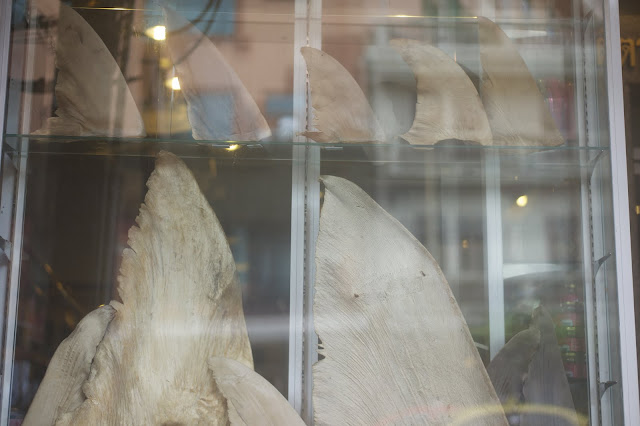 GlobalGoodFood: Scala Shark's fin Chinatown Bangkok 鱼翅 曼谷中国城 Thailand