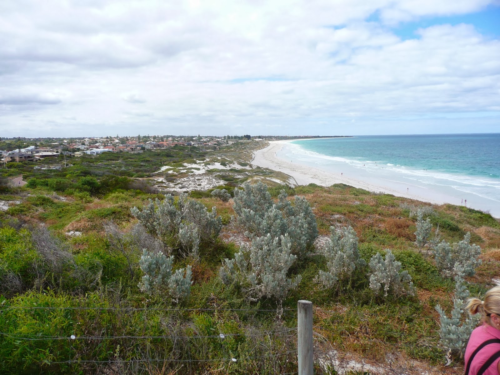 MobileMarshies: PERTH 4 - SOME DOMESTIC SNIPPETS AND MULLALOO BEACH ...