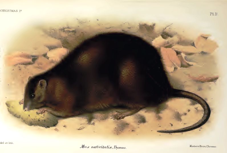 Ciencias entre los Álamos: 2012