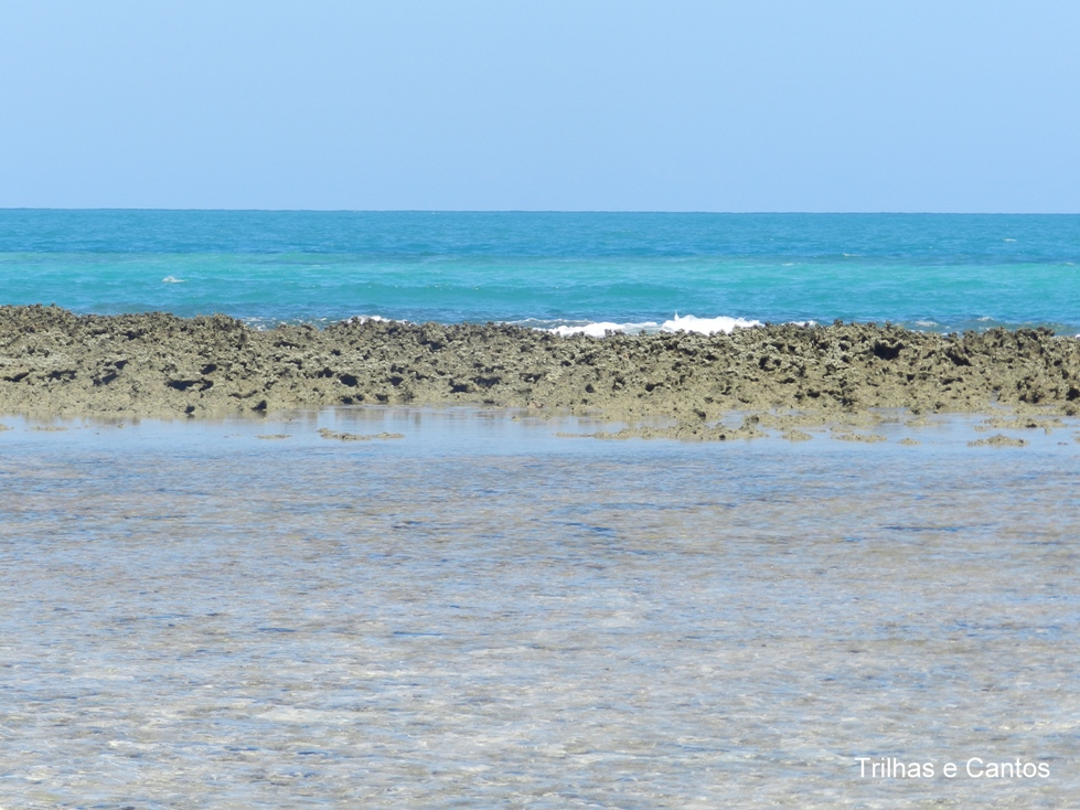 Japaratinga: como é o mergulho nas piscinas naturais | Trilhas e Cantos