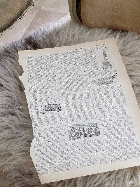 princessgreeneye: Grosse Freude über einen kleinen Fund......