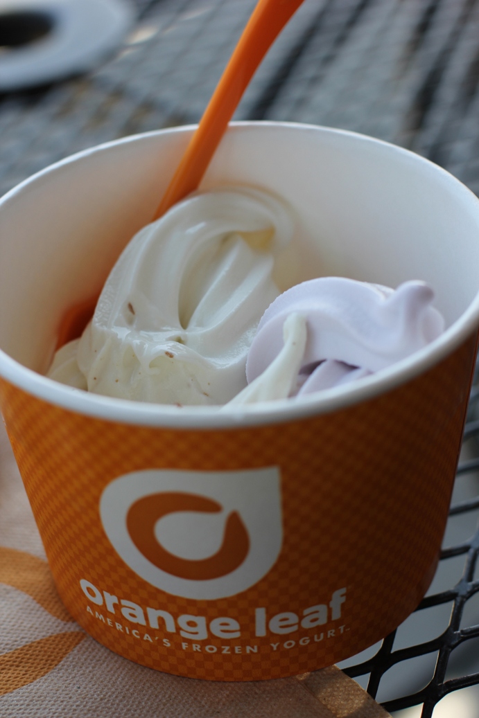 The Macy Dixie Line: Pug Field Trip!