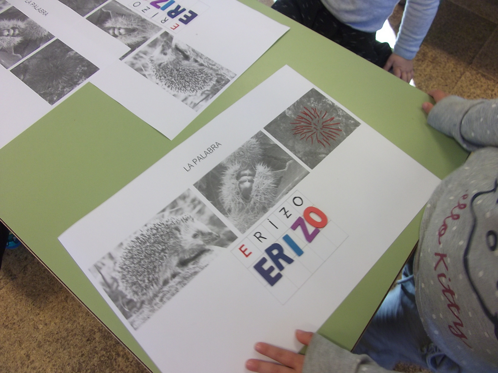 CEIP "MANUEL LLANO": UNA FAMILIA DE ERIZOS EN EL AULA DE INFANTIL 3 AÑOS