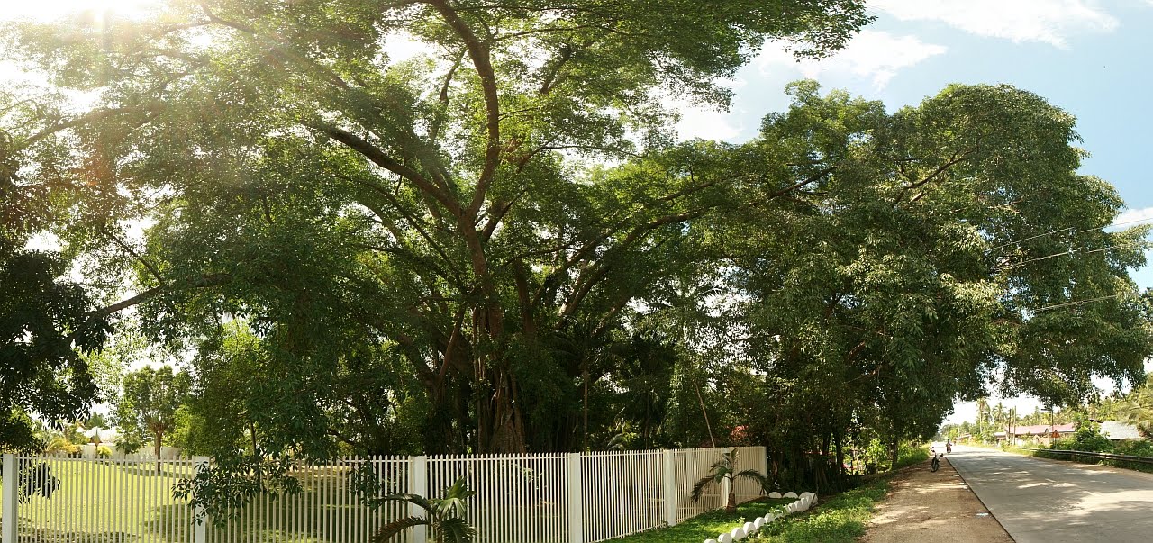 Baclayon (Bohol) Blog