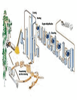 Chemical Chase Impressions: Kraft paper