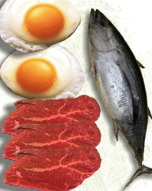 Alimentos de origen animal - Imagui