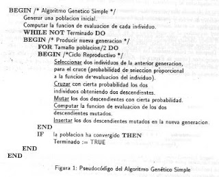 Inteligencia Artificial: Monografia Algoritmo Genetico Estandar
