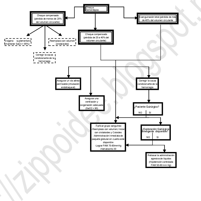 Zippo Idee: Manejo del paciente con CHOQUE (SHOCK) HIPOVOLEMICO
