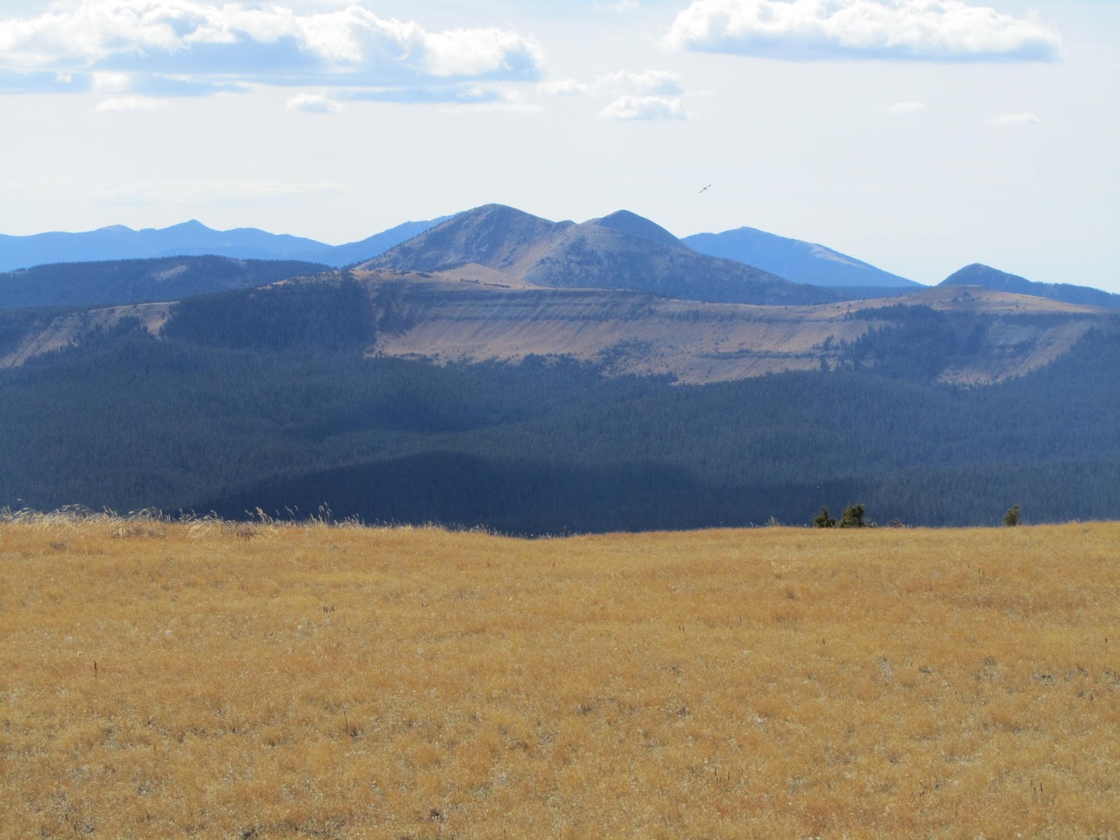 Tomcat's Outdoor Adventures: Backpacking New Mexico's Pecos Wilderness