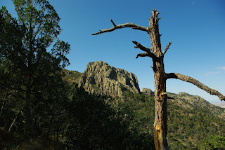 Here and There//Texas/New Mexico: Mt Livermore, Davis Mountains: Texas' #2