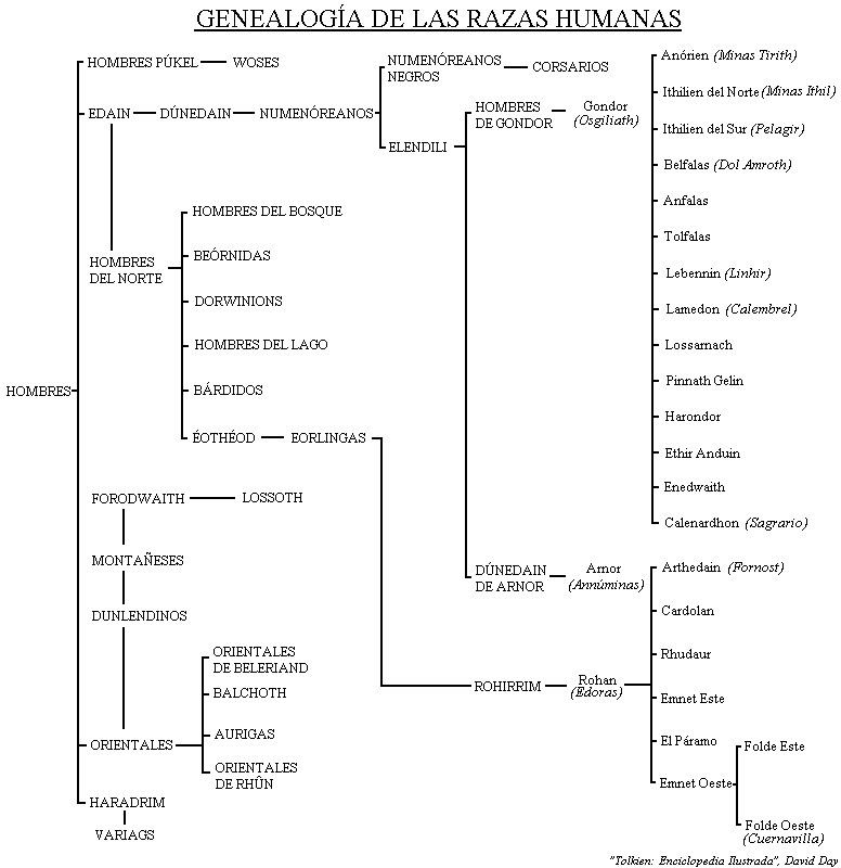 El palacio del rol: Genealogías de las razas humanas