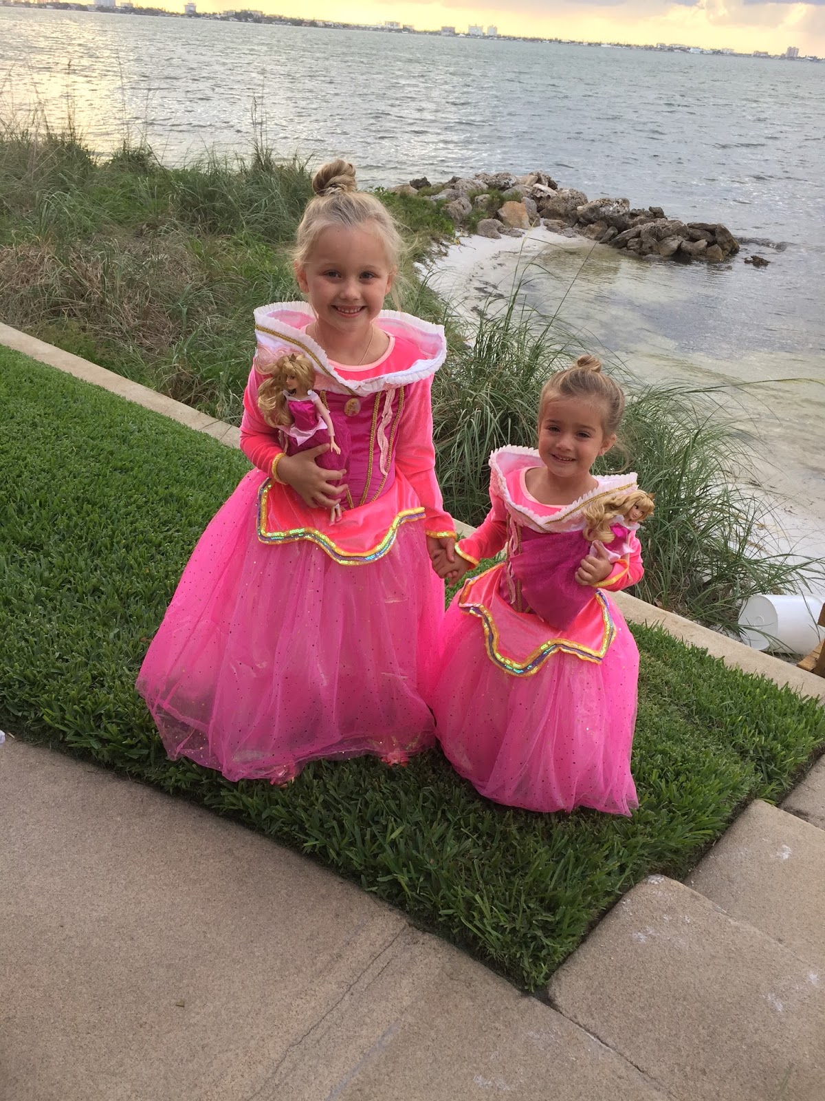 AMAZING GRACE Paper Crafts: Princess Aurora's