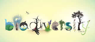 Rang a Cúig agus a Sé: Biodiversity Poems