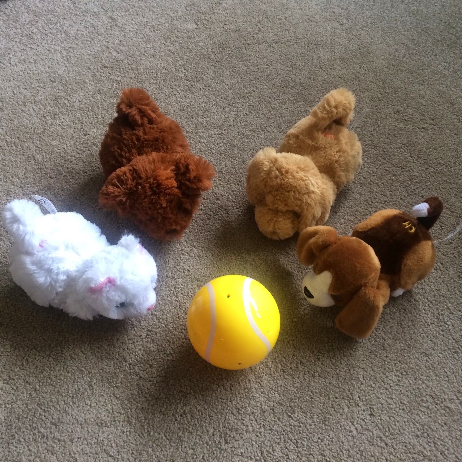 Take Time for Today: The Happy's Playdate