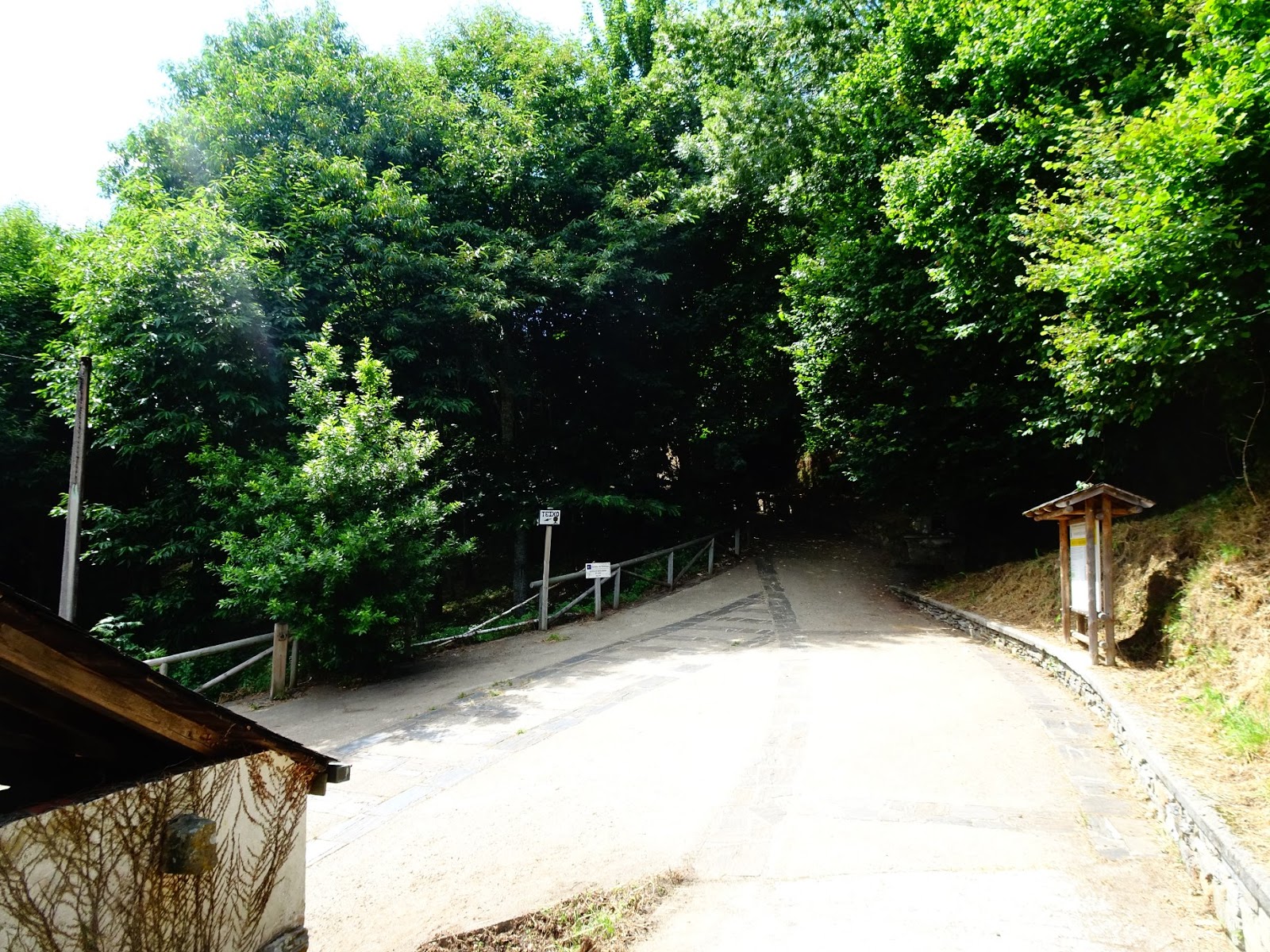 Xurde Morán: LLAGO (ALLANDE, ASTURIAS): EL TEIXO, EL CHAO Y EL CAMINO A ...