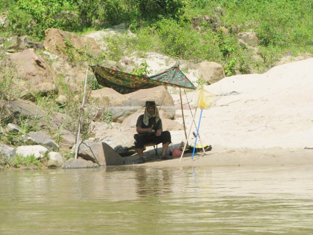 KAKI PANCING: Patin fish bait and fishing rods Technique