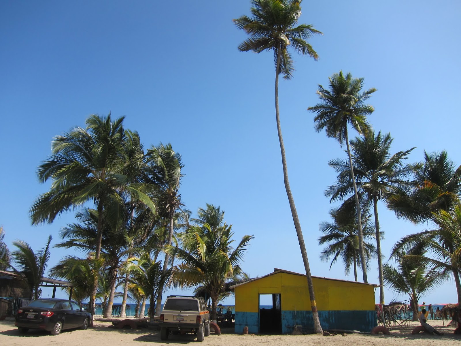 Patanemo, la felicidad del Caribe - Viajero de naturaleza