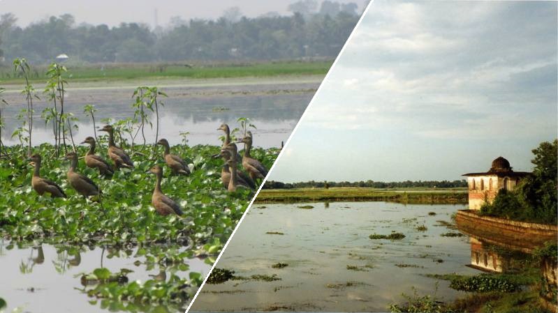 Rudrasagar Lake in Tripura - a Cultural Voyage | #OKTravel - OK! North ...