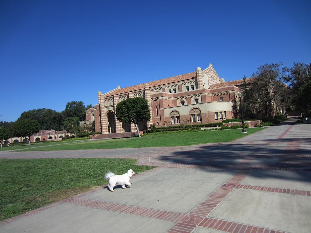 Rocket's LA Adventures: Let there be Light: Rocket Goes to UCLA