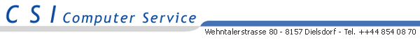 C S I Computer Service Dielsdorf