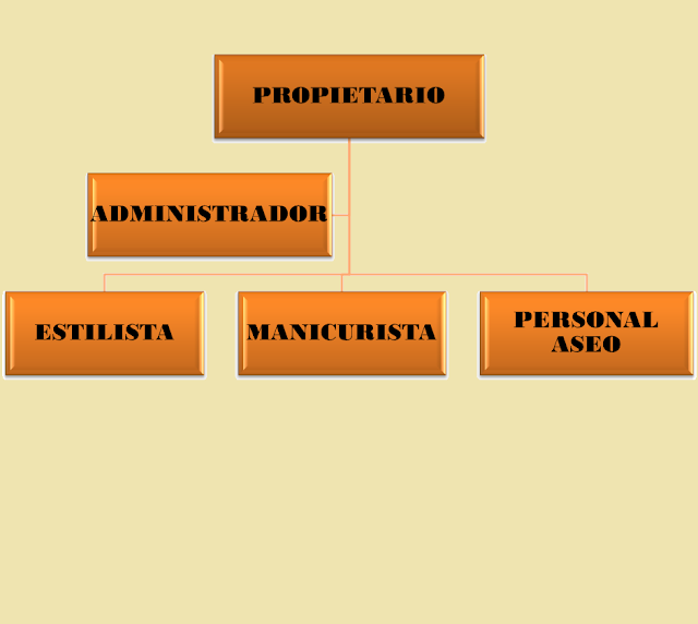 SALON DE BELLEZA EDUARDO: ORGANIGRAMA