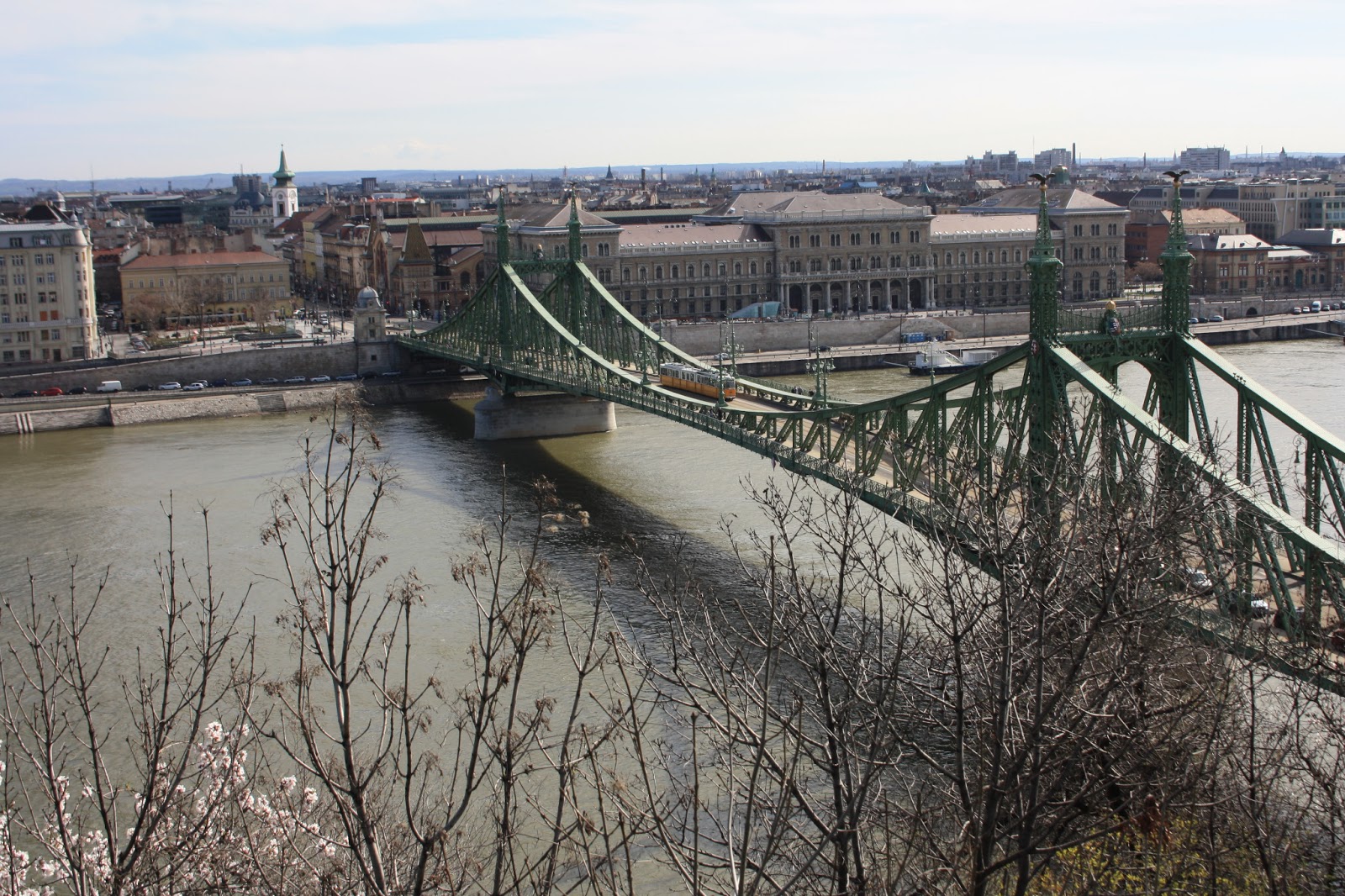 Vita gavlar: Broar i Budapest