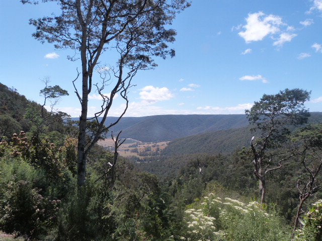 Aussie's trip : Tasmania - Mount Victoria Forest Reserve - Ralphs Falls