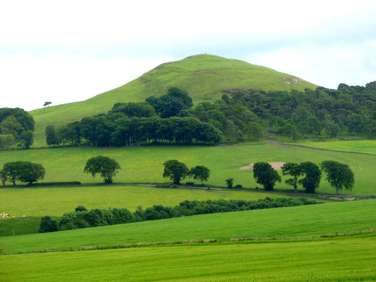 Frieda Oxenham: Thankerton and Covington Open Day
