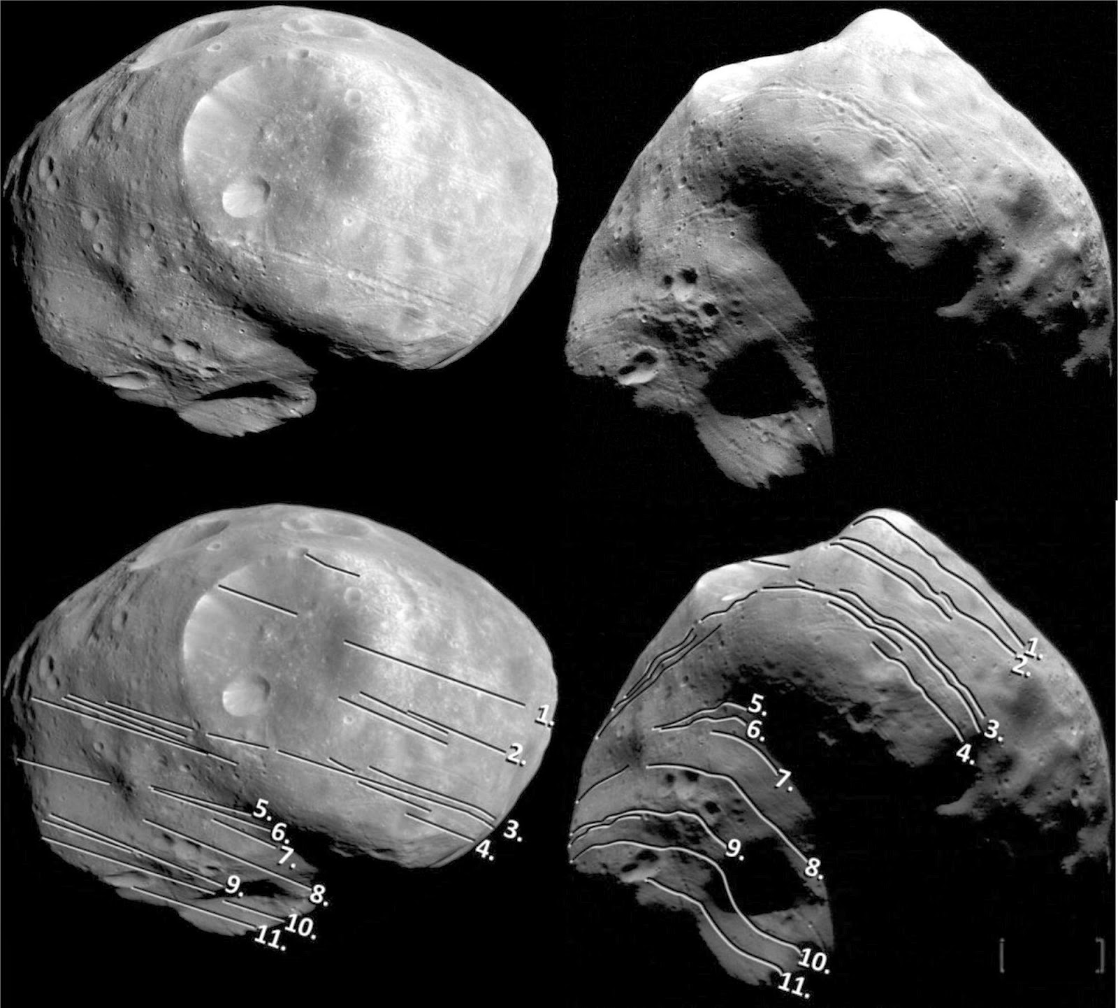 The Dragon's Tales: The Origin of Phobos' Grooves