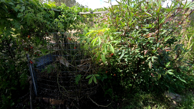 Sustainable Living Choices: Compost Corner How to Build It And Why