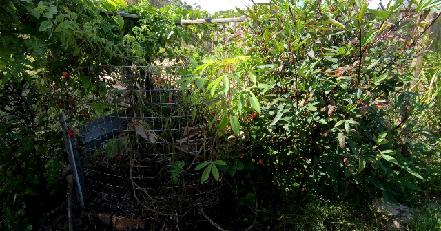 Sustainable Living Choices: Compost Corner How to Build It And Why