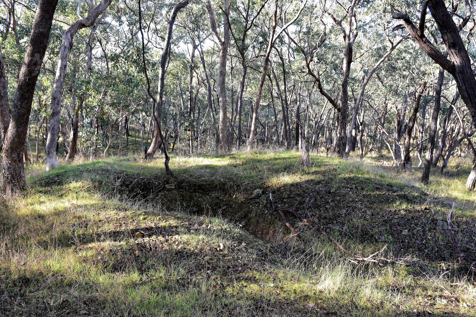 Goin' Feral One Day At A Time: Mundy Gully, Spring Plains Nature ...