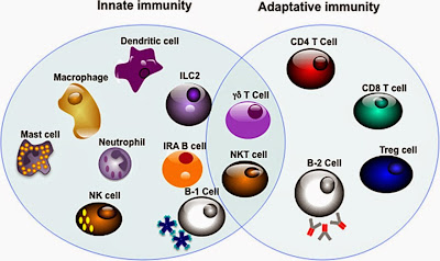 Biomarkers & Milk: Milk responds: Changes to milk immune factors with ...