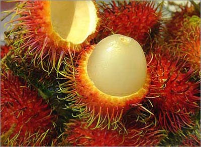 Rambutan - Fruits And Vegetables