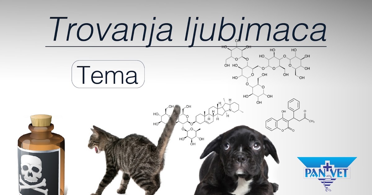 Trovanja ljubimaca - simptomi i lečenje ~ Panvet - moj veterinar