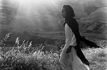 The Wild Reed: Jesus: The Breakthrough in the History of Humanity