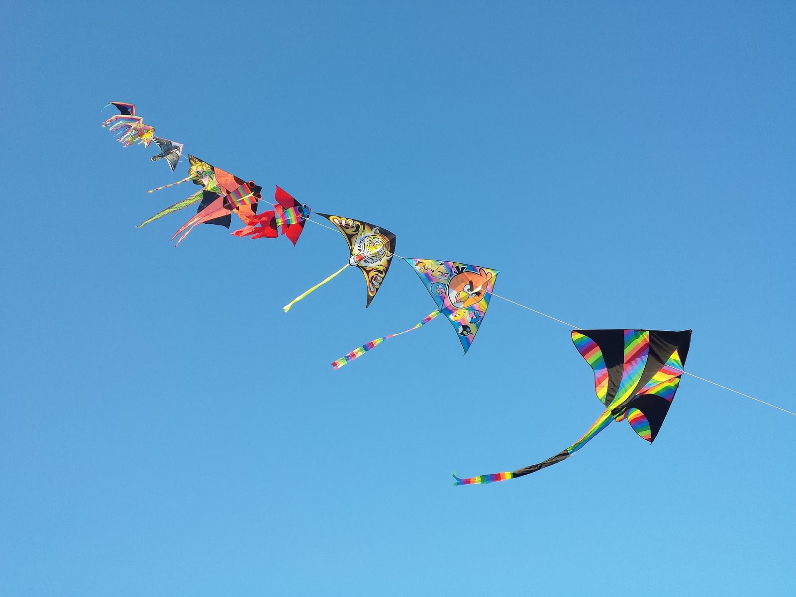 Sarigerme Kite Festival | Turkey Festival - Culture Festivals