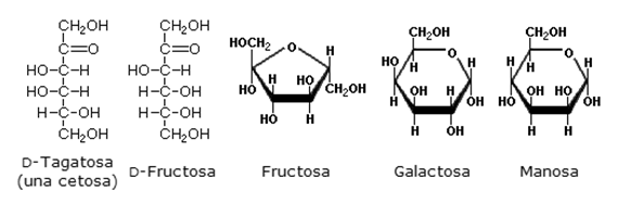 Energéticos de la vida: Estructura