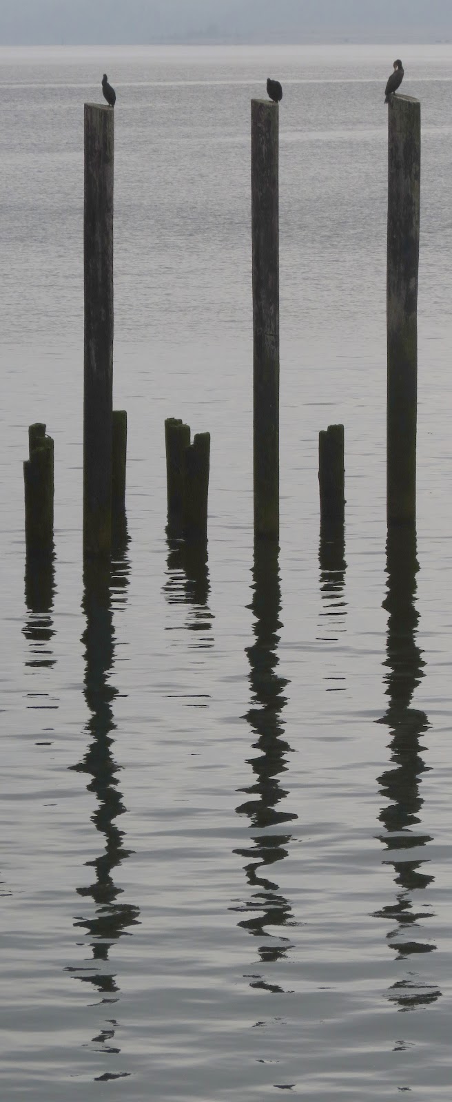 Awful Normal Photography