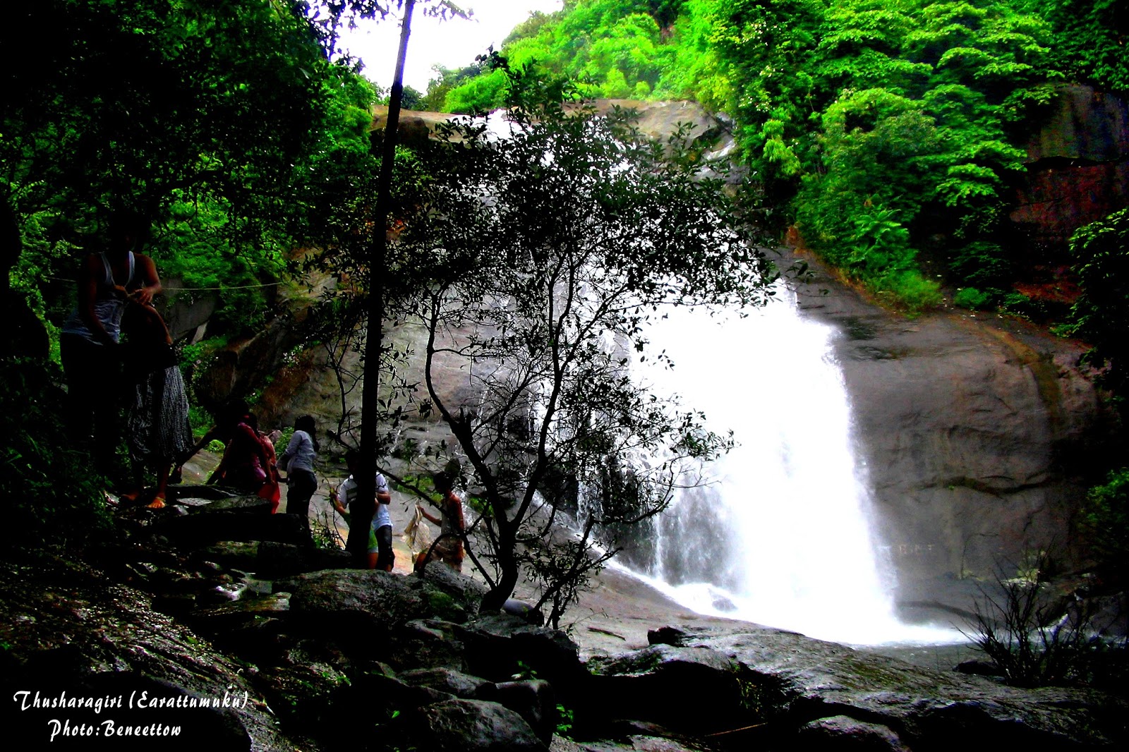 Thusharagiri Waterfalls