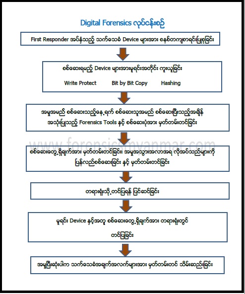 Digital Forensics Flow