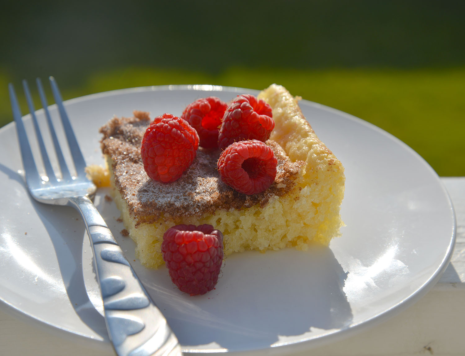 Breakfast Cake - light-in-leaves